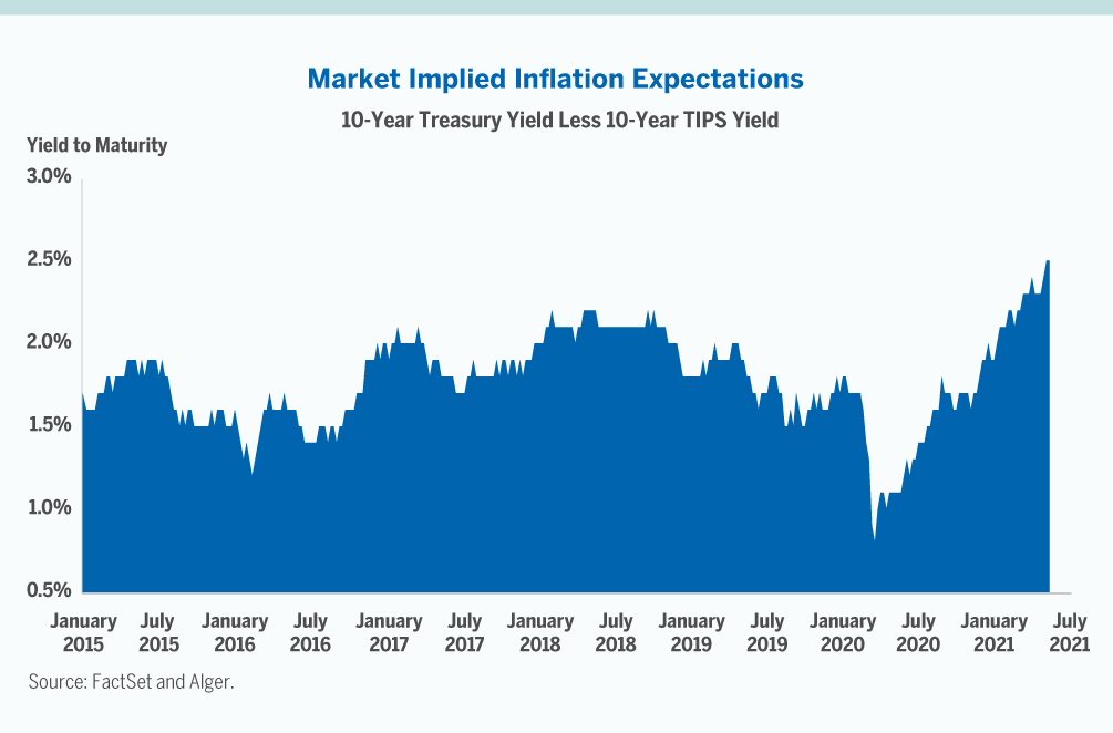What Is Inflation Resistant? | Alger