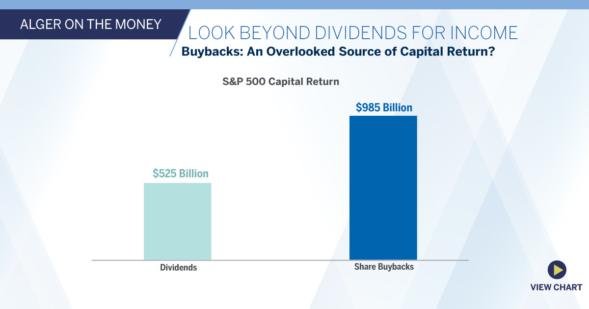 Look Beyond Dividends | Alger on the Money